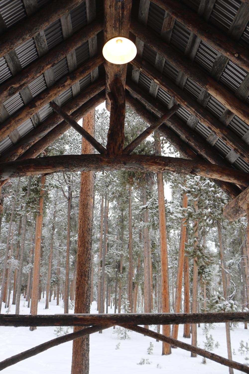 6 Settlers Forge Covered Back Porch with Hand-scribed Log Rafters, Skip ...